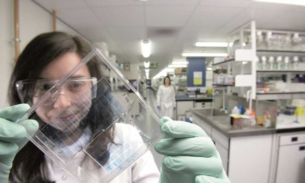 REF 2021: Scotland’s universities deliver research of “world leading ...